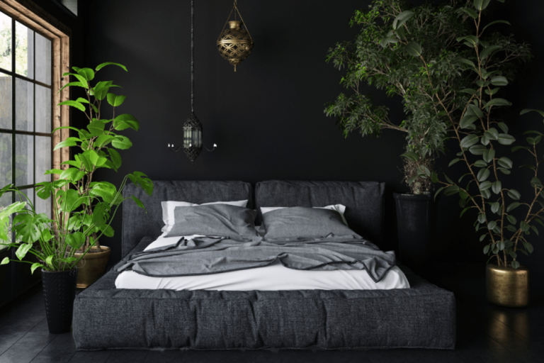 Dark Room Plants: The Best House Plant Options For 2022