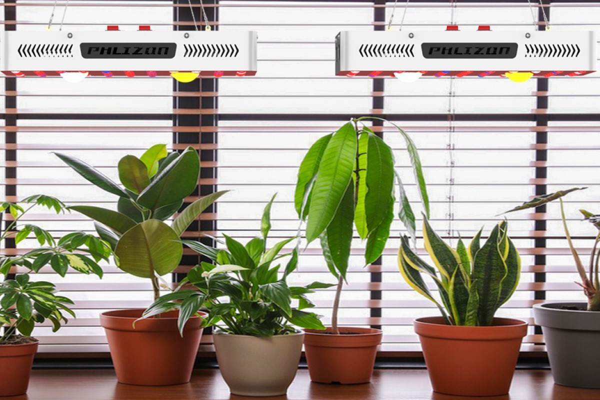 Best Full Spectrum Led Grow Lights Review. Fresh Information