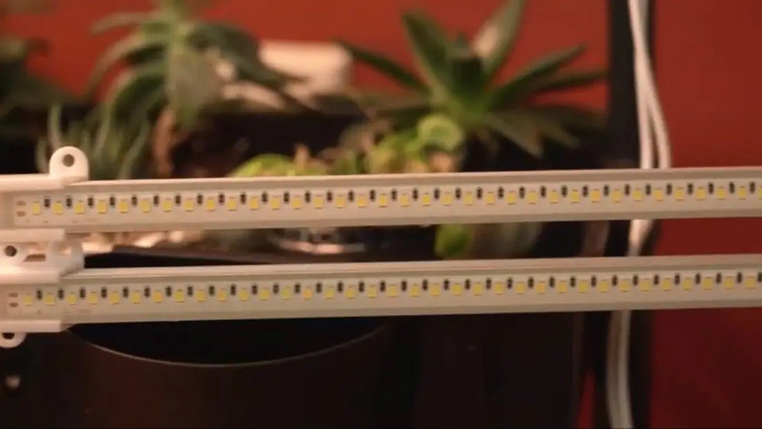 Best Full Spectrum Led Grow Lights Review. Fresh Information